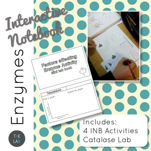 Enzyme Interactive Notebook activities by liezelpienaar - UK Teaching ...