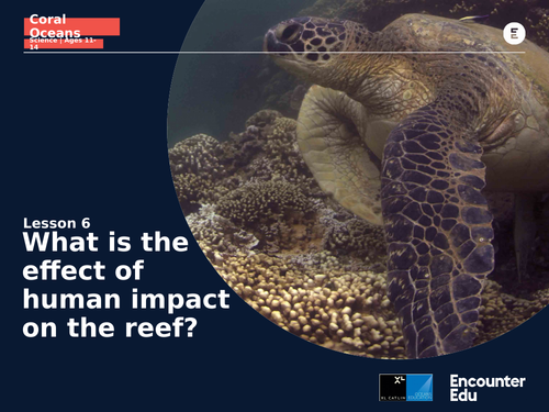Explore the Coral Oceans: KS3 Science - Unit of Work | Teaching Resources