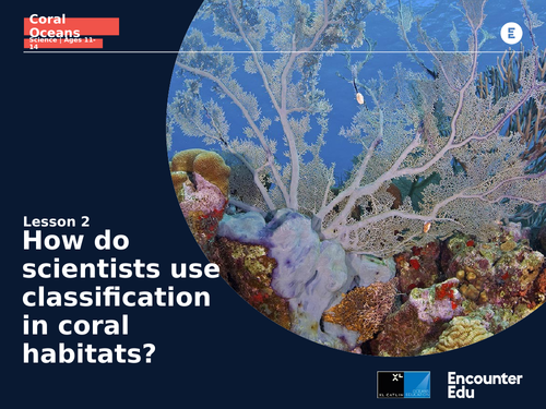 Explore the Coral Oceans: KS3 Science - Unit of Work | Teaching Resources