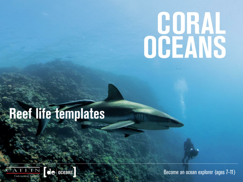 Explore the Coral Oceans: KS2 Science - Unit of Work | Teaching Resources
