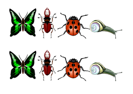Minibeasts Resource Pack | Teaching Resources