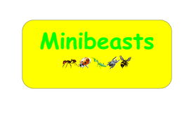 Minibeasts Resource Pack | Teaching Resources
