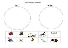 Minibeasts Resource Pack | Teaching Resources