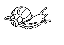 Minibeasts Resource Pack | Teaching Resources