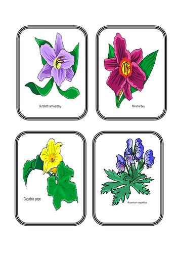 Garden Centre Role Play Resource Pack | Teaching Resources