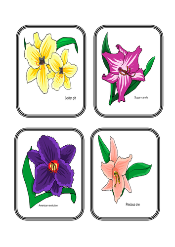 Garden Centre Role Play Resource Pack | Teaching Resources