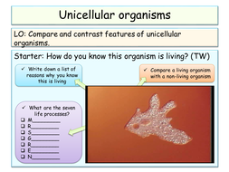 Cells topic - Year 7 | Teaching Resources