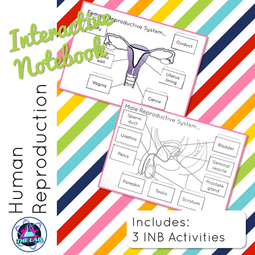 Biology Interactive Notebook Bundle | Teaching Resources