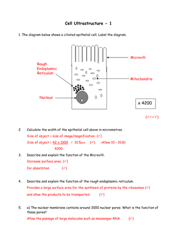 Biology:Cell Ultrastructure | Teaching Resources