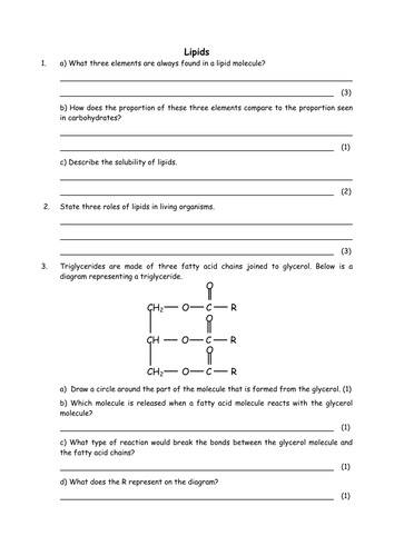 Lipids | Teaching Resources
