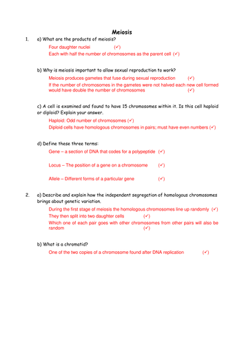 Biology: Meiosis worksheet | Teaching Resources