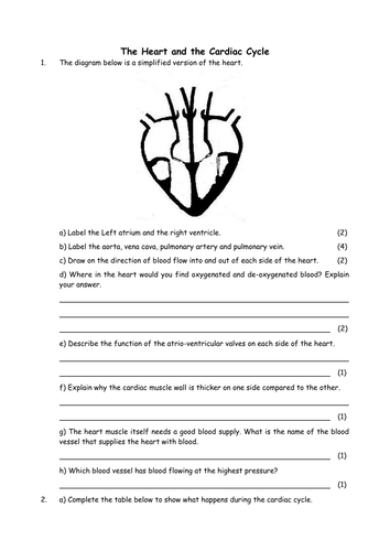Biology: The heart | Teaching Resources