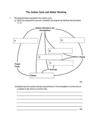 Biology: Carbon cycle and global warming | Teaching Resources