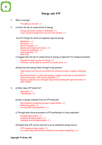 Biology: Energy and ATP | Teaching Resources
