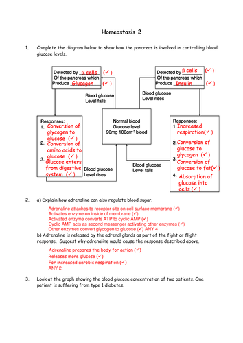 Biology: Homeostasis including controlling blood glucose levels ...