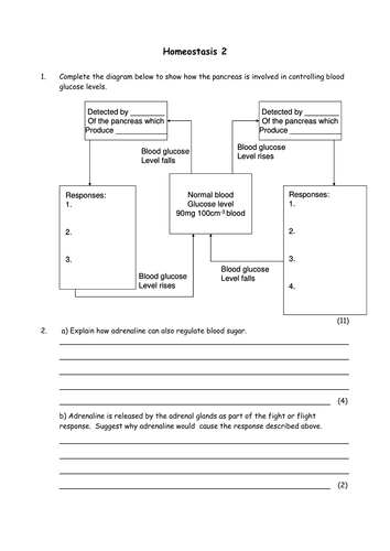 Biology: Homeostasis including controlling blood glucose levels ...