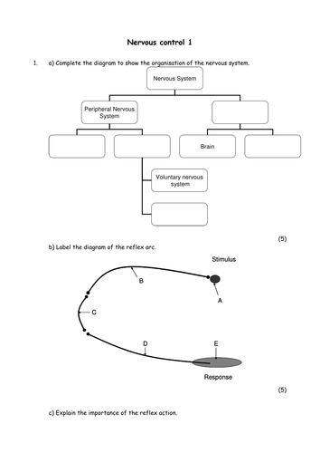 Biology: Nervous control including reaction times | Teaching Resources