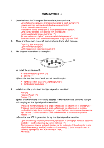 Biology: Photosynthesis | Teaching Resources