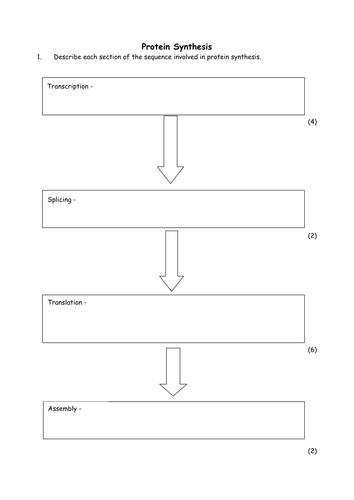 Biology: Polypeptide synthesis | Teaching Resources