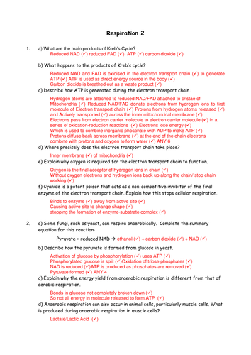 Biology: Respiration | Teaching Resources