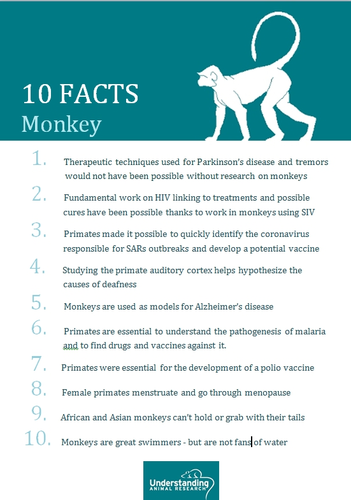 10 facts about laboratory animals | Teaching Resources