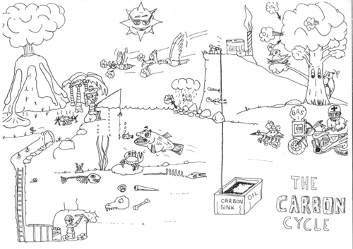 Carbon Cycle Cartoon - Revision Yr 10 | Teaching Resources