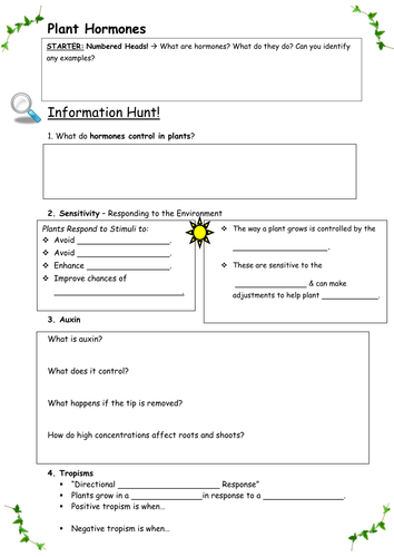 How is plant growth controlled? (Plant Hormones) | Teaching Resources