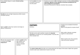 Synoptic enzymes revision mat | Teaching Resources