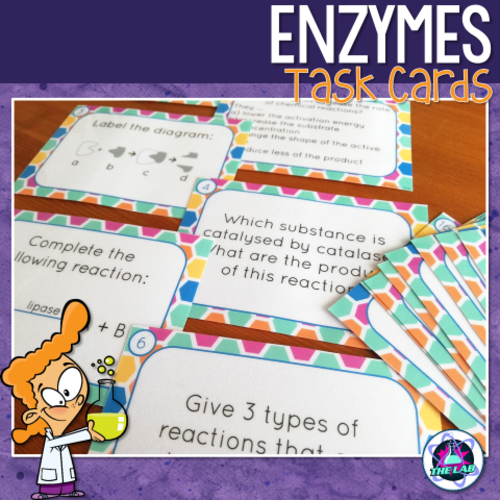 Enzymes Task Cards | Teaching Resources