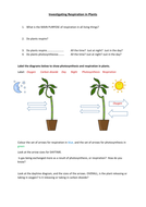 Respiration in plants - experiment using hydrogen carbonate indicator ...