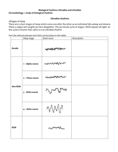 PSYCHOLOGY A2 BIOLOGICAL RHYTHMS | Teaching Resources