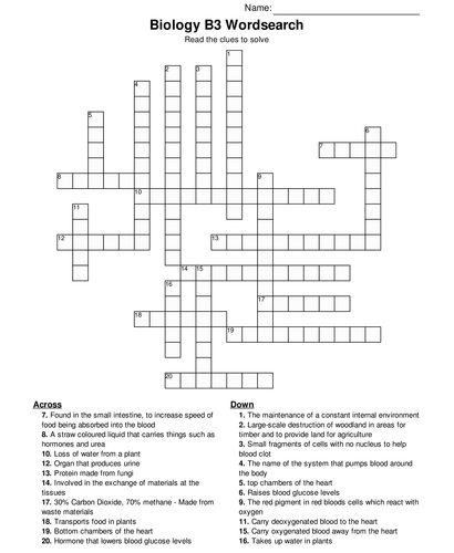 GCSE Biology B3 FUN Bumper Revision Megapack | Teaching Resources