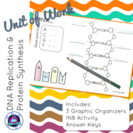 DNA Replication & Protein Synthesis | Teaching Resources