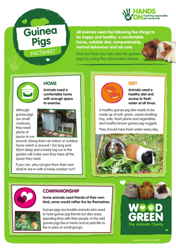 Pet Fact Files | Teaching Resources