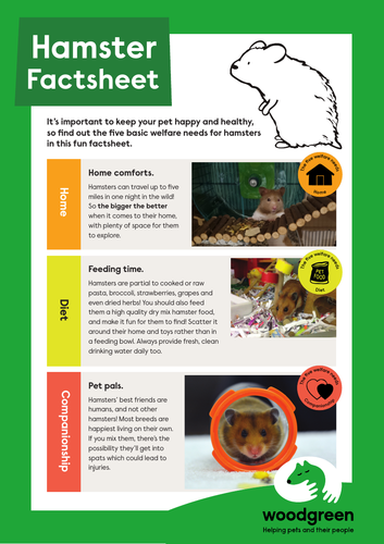 Pet Fact Files | Teaching Resources