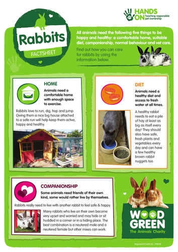Pet Fact Files | Teaching Resources