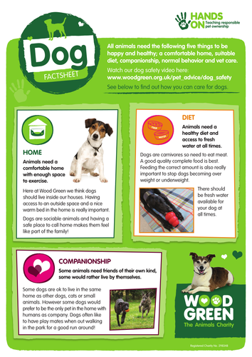 Pet Fact Files | Teaching Resources
