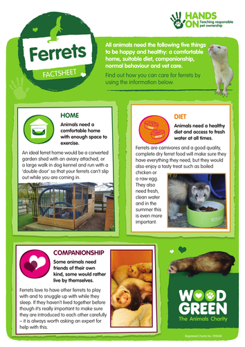 Pet Fact Files | Teaching Resources