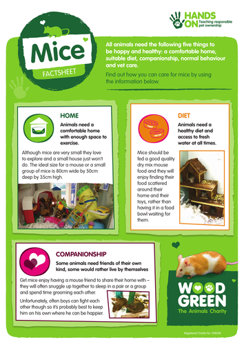 Pet Fact Files | Teaching Resources