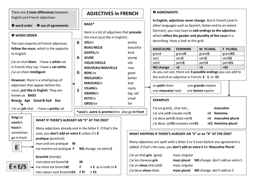 Adjective endings in French | Teaching Resources
