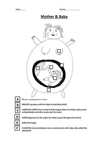 Babies | Teaching Resources