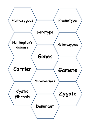 OCR 21st Century Biology B1 Revision Resources | Teaching Resources