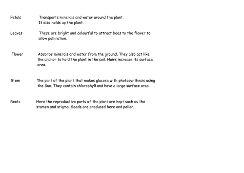 Label Parts of a Plant Diagram and vocabulary matching | Teaching Resources