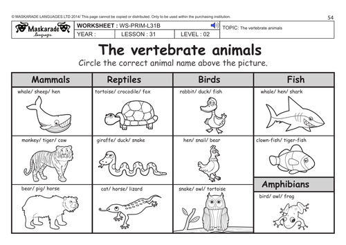 ENGLISH KS2 Level 2: Farm and Vertebrate animals | Teaching Resources