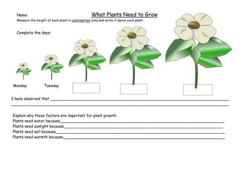 Measuring Plant Growth and Explaining Conditions | Teaching Resources
