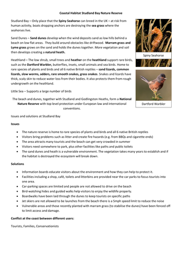 Coastal Habitats - Studland Bay Nature Reserve | Teaching Resources