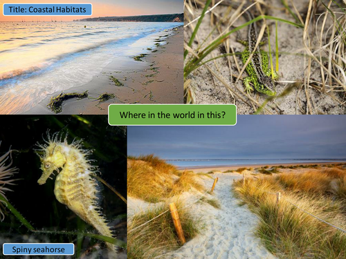 Coastal Habitats - Studland Bay Nature Reserve | Teaching Resources