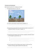 The Carbon Cycle GCSE | Teaching Resources
