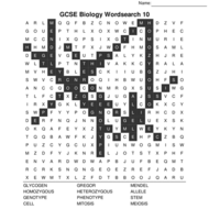 GCSE Biology Bumper Fun Wordsearch Pack. 10 Wordsearch Set included ...