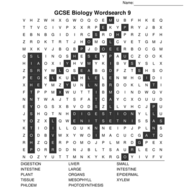 GCSE Biology Bumper Fun Wordsearch Pack. 10 Wordsearch Set included ...